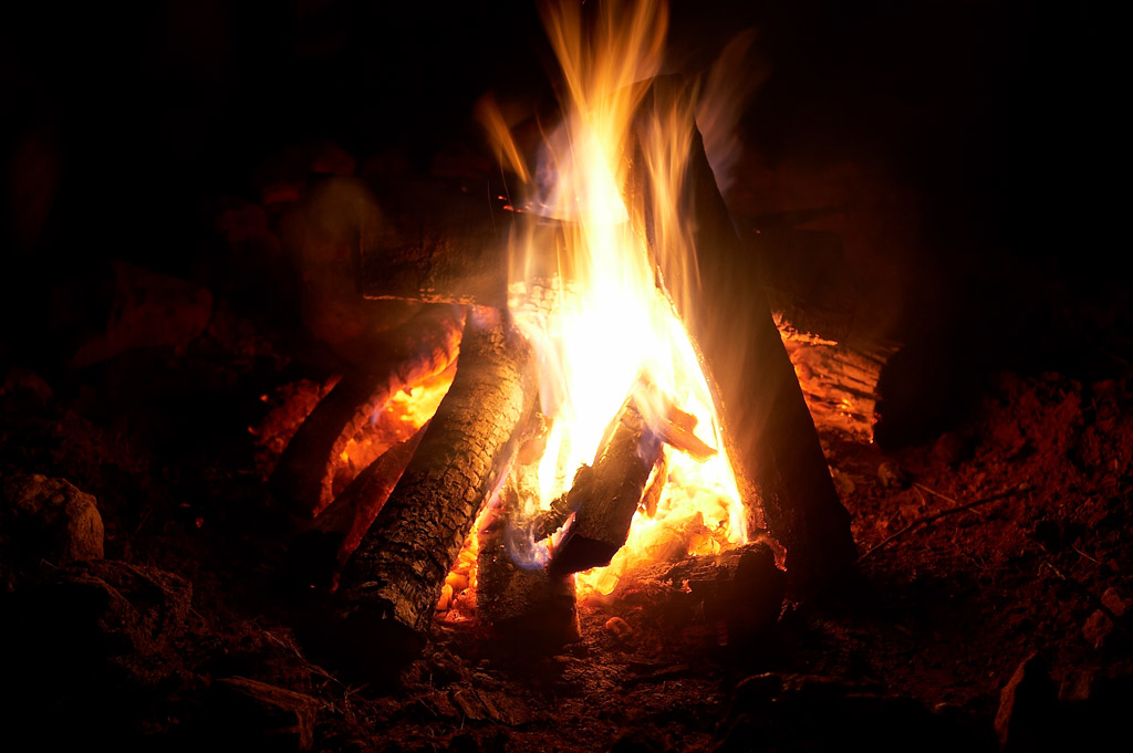 Conversaciones con el fuego – Wise Deer Press